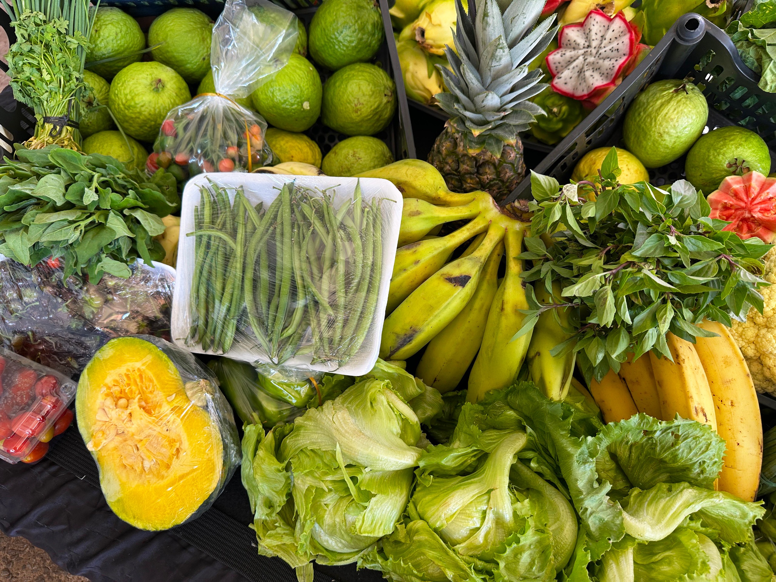 Governo de Goiás investe R$ 30 milhões na agricultura familiar com PAA ...